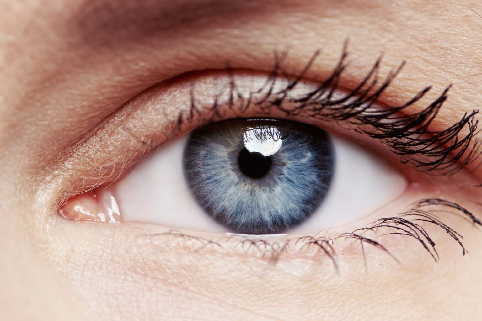 Private Augenarztpraxis Kronberg Dr. med. Jessica Walz | Augencheck ...